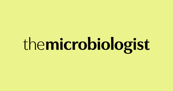 Diversity & Inclusion | AMI | The Microbiologist